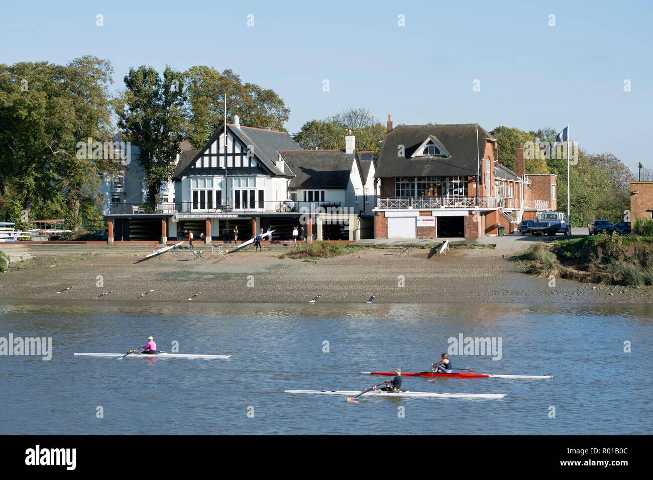 Mortlake anglian and alpha hi-res stock photography and images - Alamy