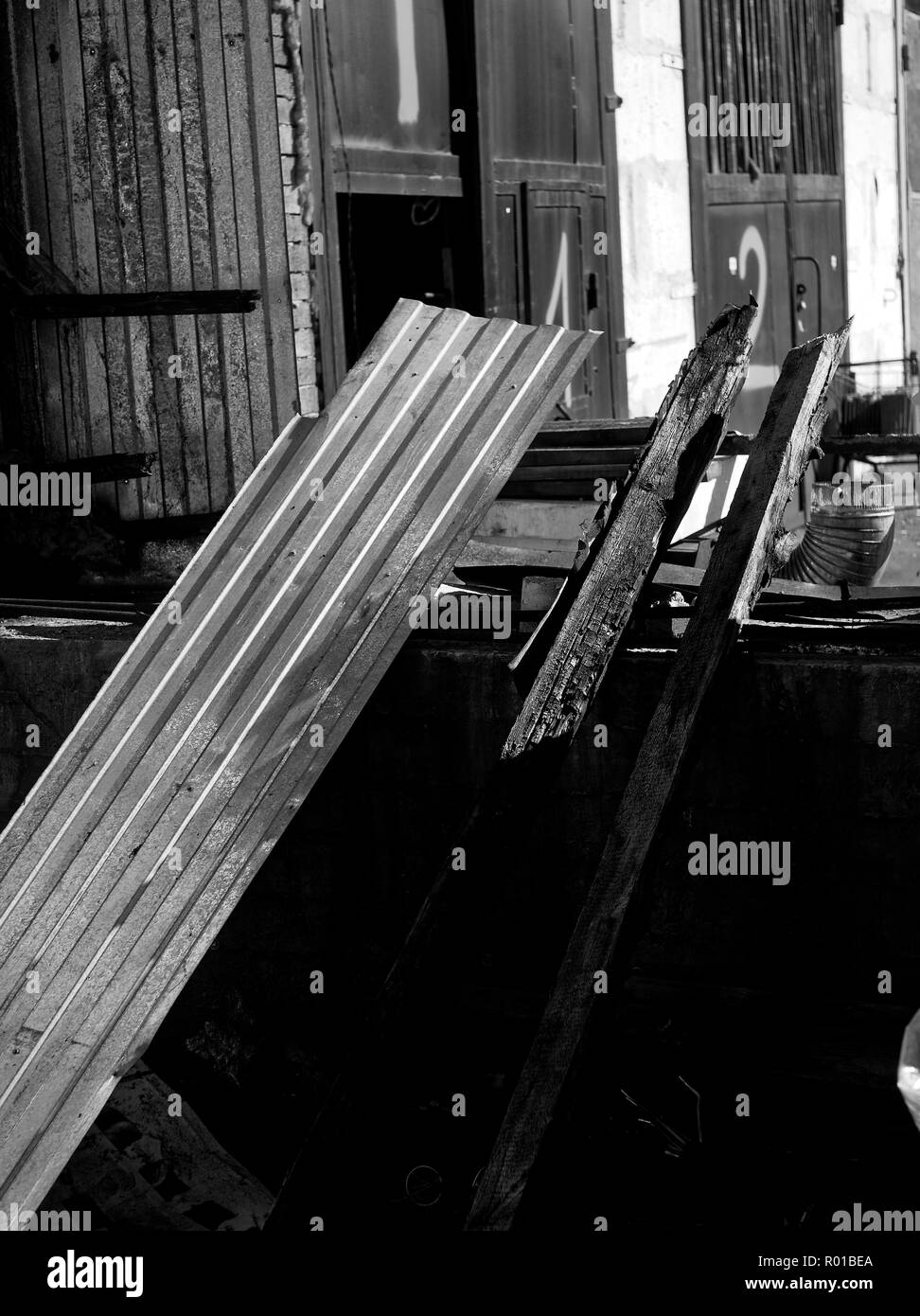 Forest garbage Black and White Stock Photos & Images - Alamy