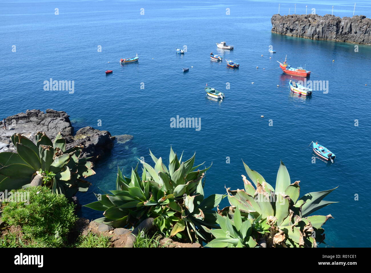 Madeira fishing boats hi-res stock photography and images - Alamy