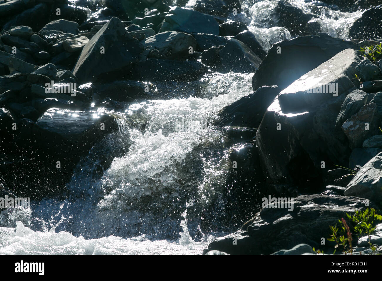 Clean drinking water in a mountain stream at dawn Stock Photo - Alamy