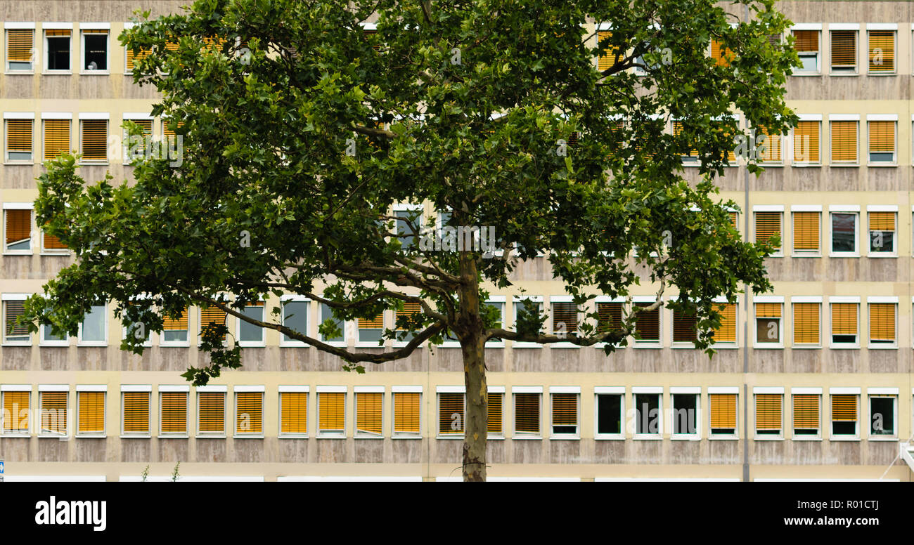 Facade of an office tower with tree hi-res stock photography and images ...