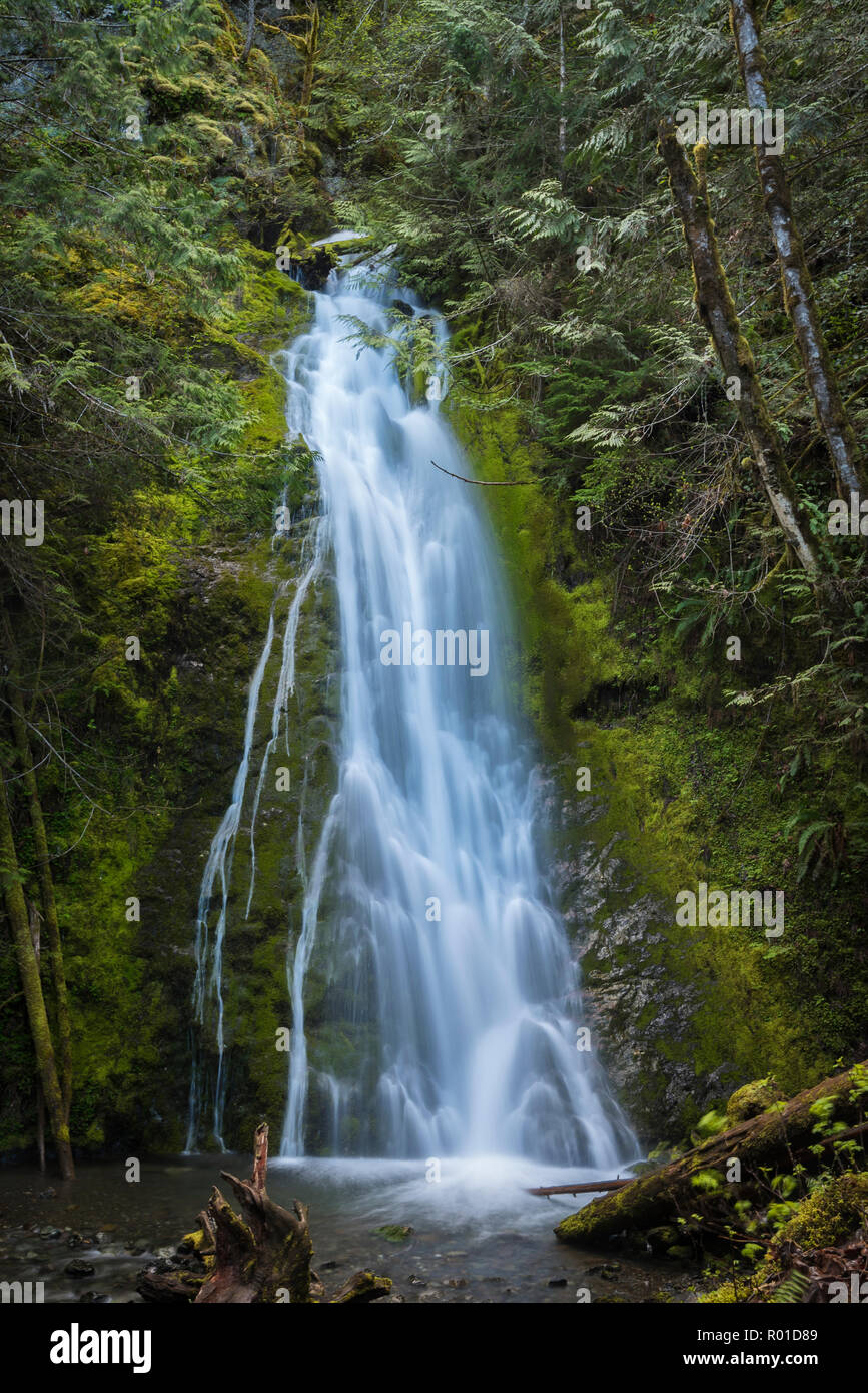 Madison Creek Falls, Olympic National Park, Washington Stock Photo - Alamy