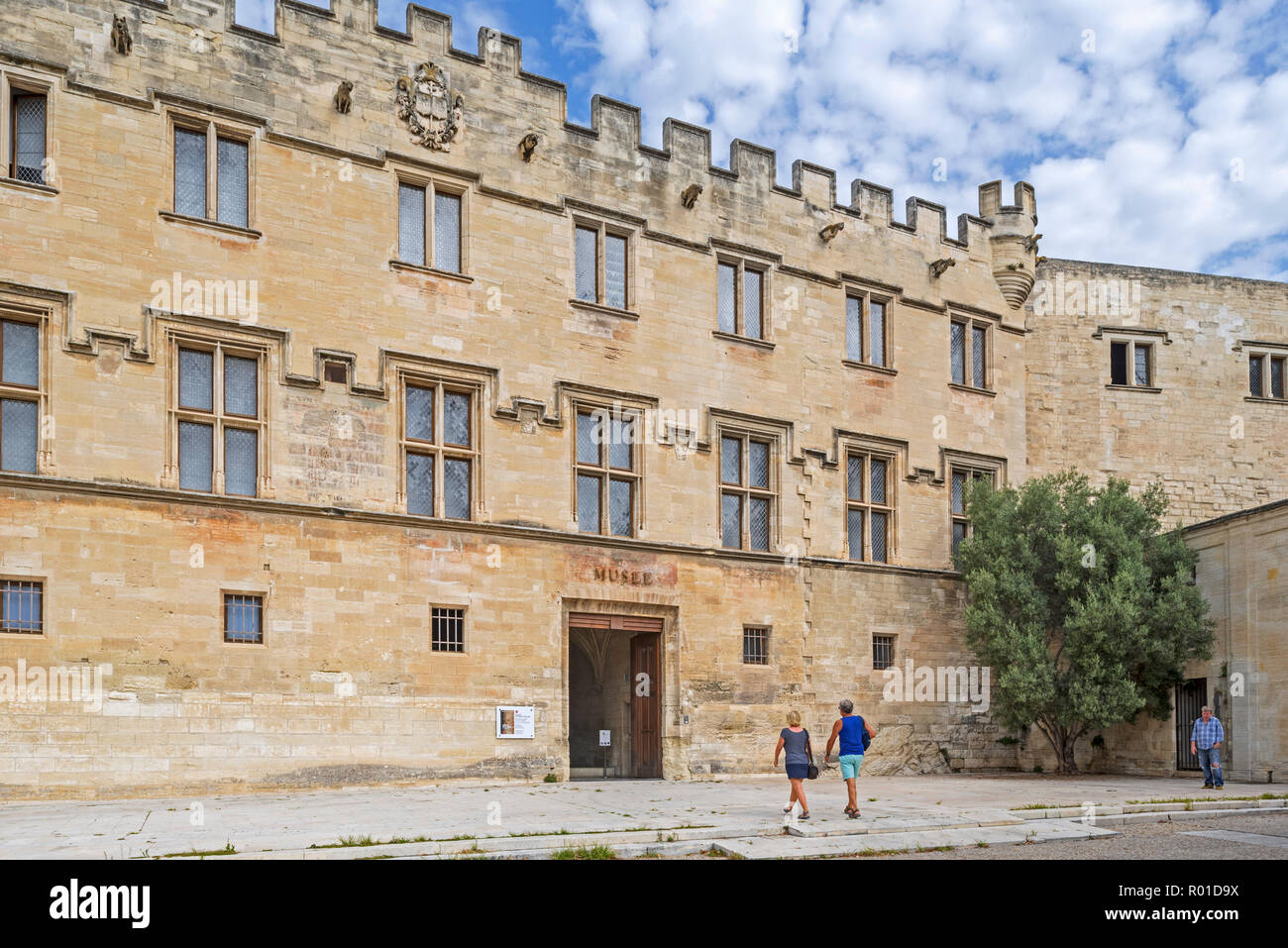 Tourists visiting the 14th-century Musée du Petit Palais, museum and ...