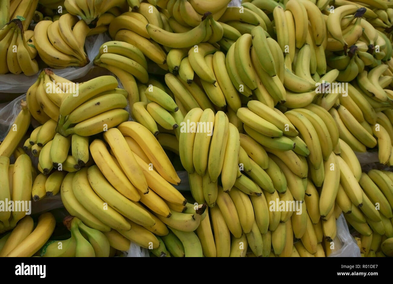 Lots of yellow bananas in the supermarket, top view Stock Photo - Alamy