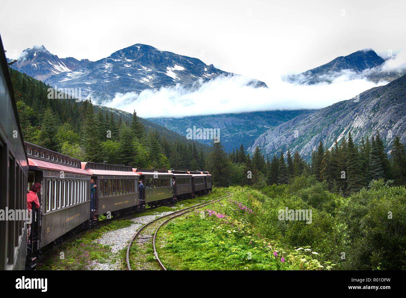 The train in Alaska Stock Photo - Alamy