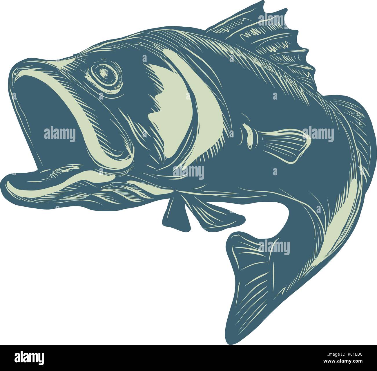 Catadromous species hi-res stock photography and images - Alamy