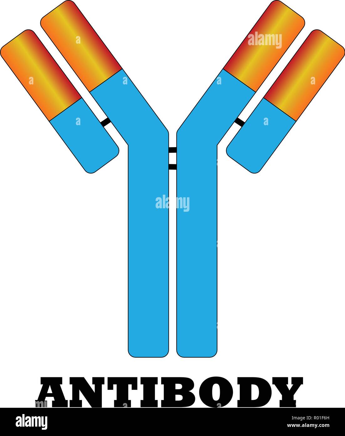 small antibody molecule logo Stock Vector Image & Art - Alamy