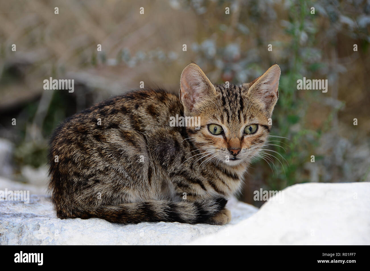Snow in crete hi-res stock photography and images - Alamy