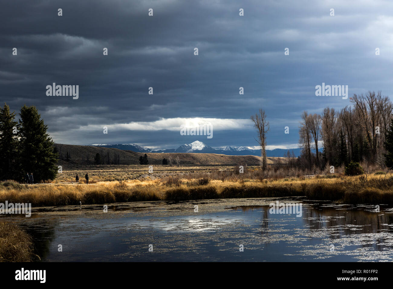 Creek view hi-res stock photography and images - Alamy