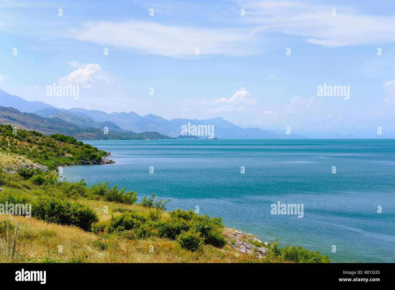 South shore of Lake Skadar, Lake Shkodra, Liqeni i Shkodrës, near Shkodra, Shkodër, Qark Shkodra ...