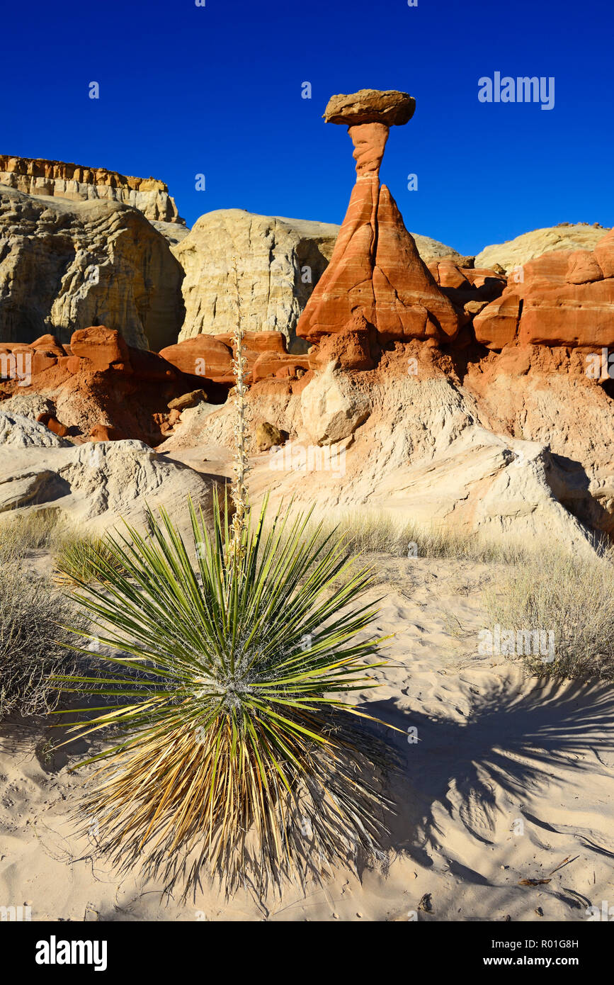 Toadstool rock formations, Kanab, Utah, USA Stock Photo - Alamy