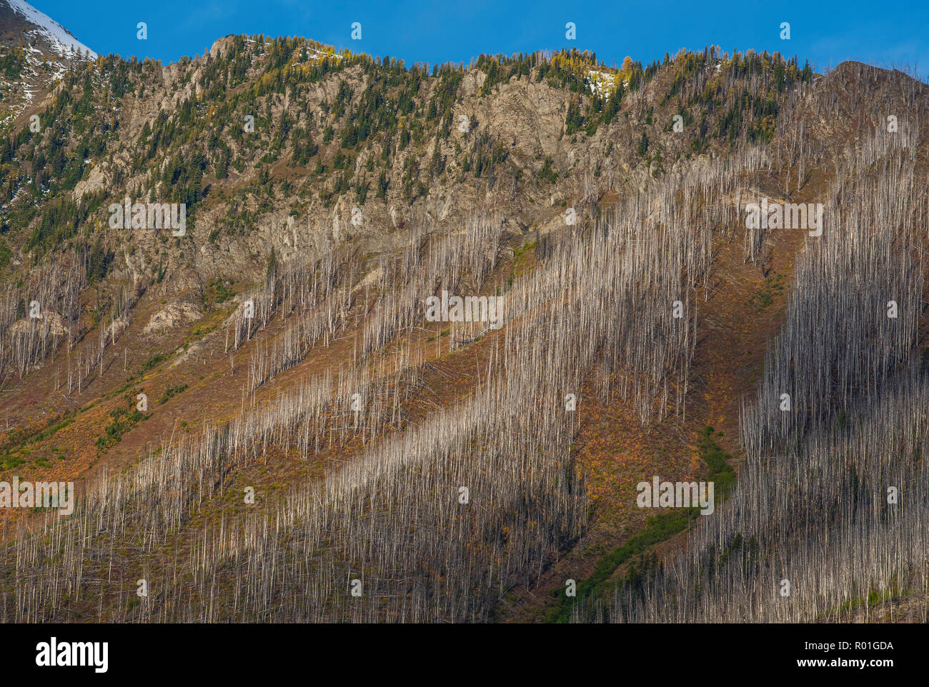 Sloping chute hi-res stock photography and images - Alamy