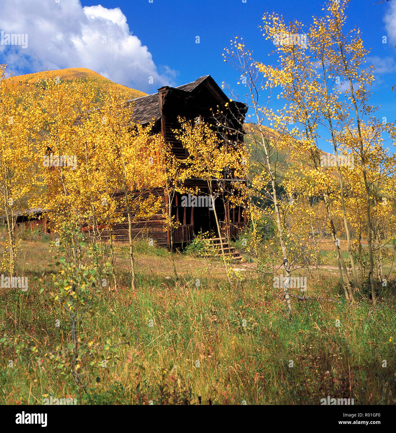 Ashcroft ghost town hi-res stock photography and images - Alamy
