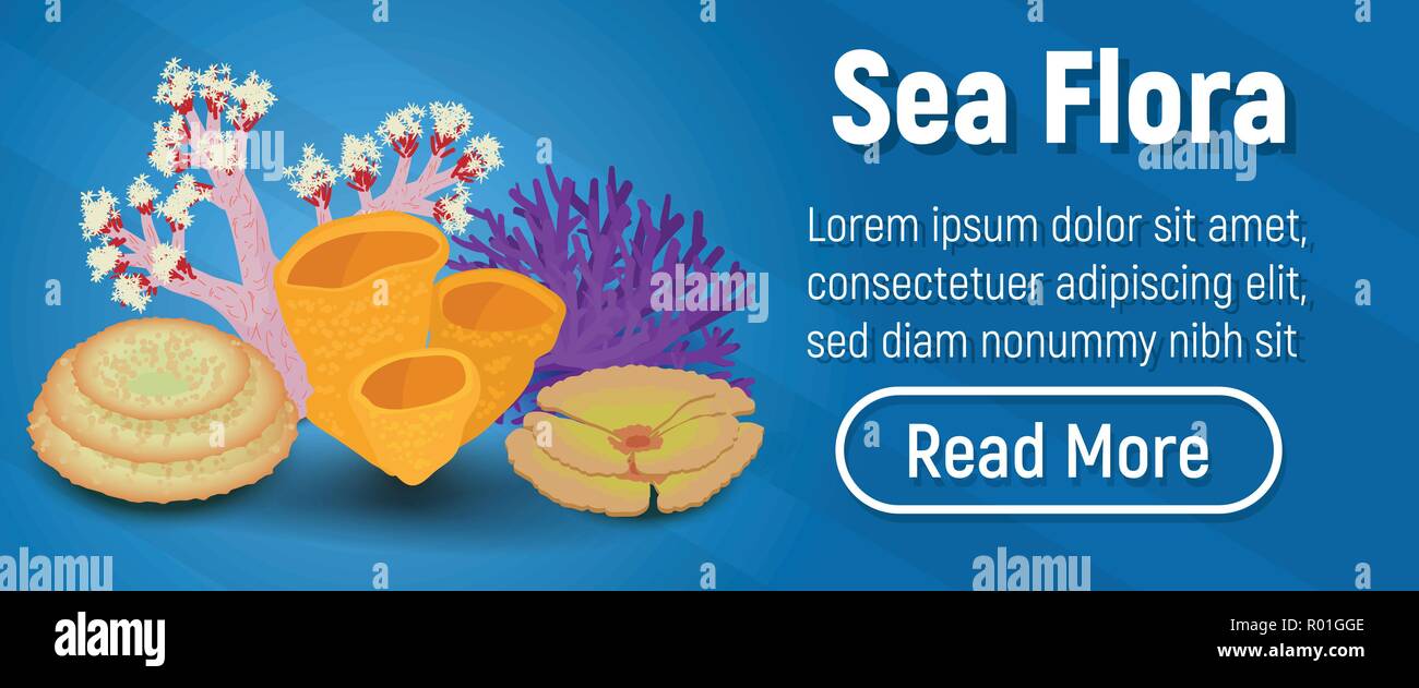 Sea flora concept banner, isometric style Stock Vector Image & Art - Alamy