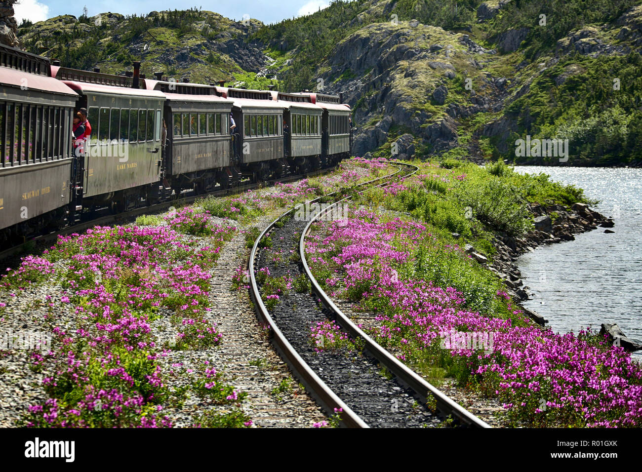 The train in Alaska Stock Photo - Alamy