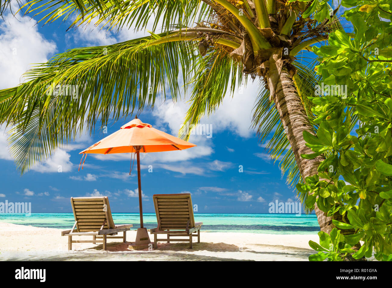 Perfect beach banner, two sun chairs and umbrella in tropical landscape ...