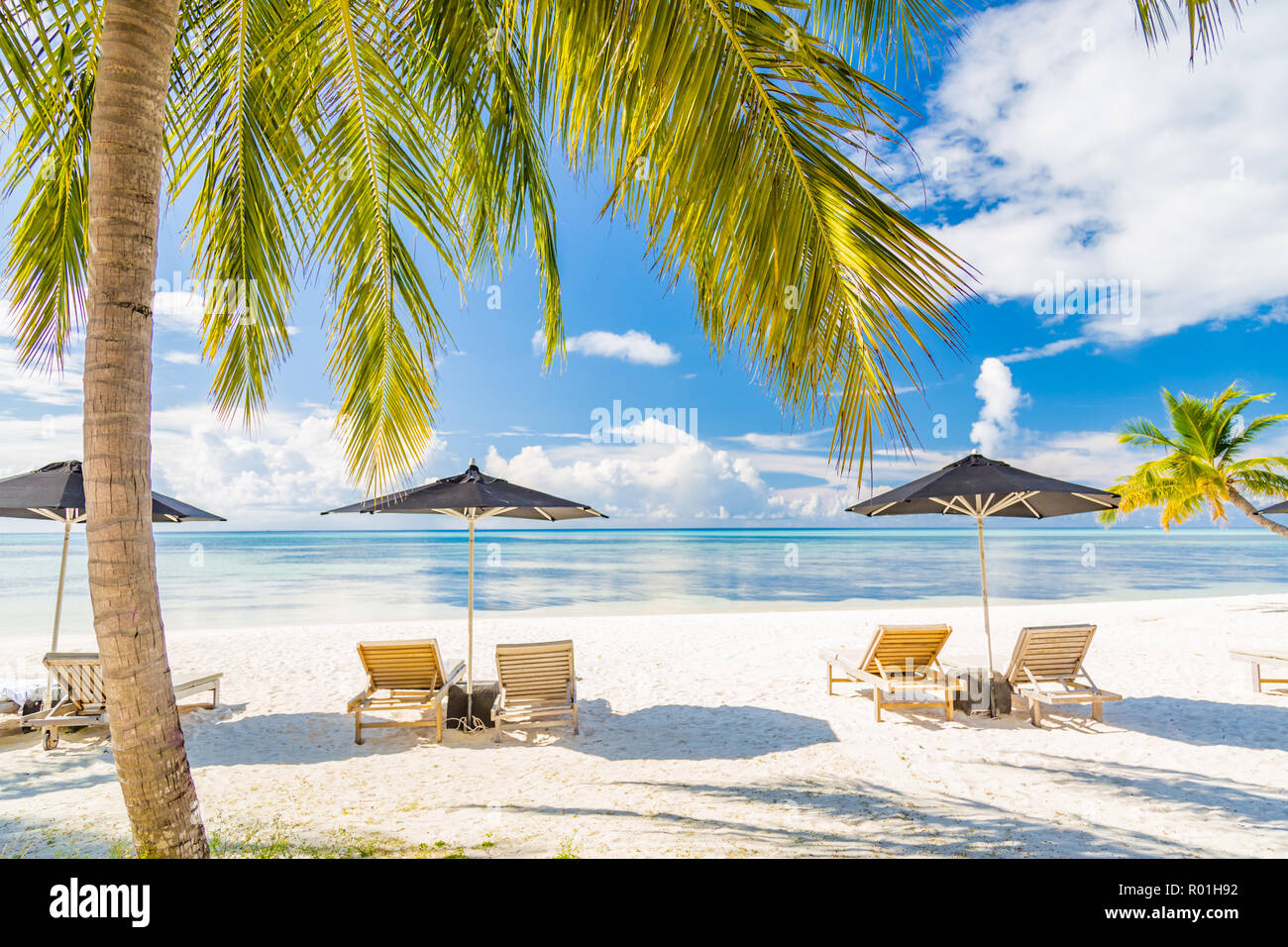 View of luxury beach scene with white fashion deckchairs on the beach ...