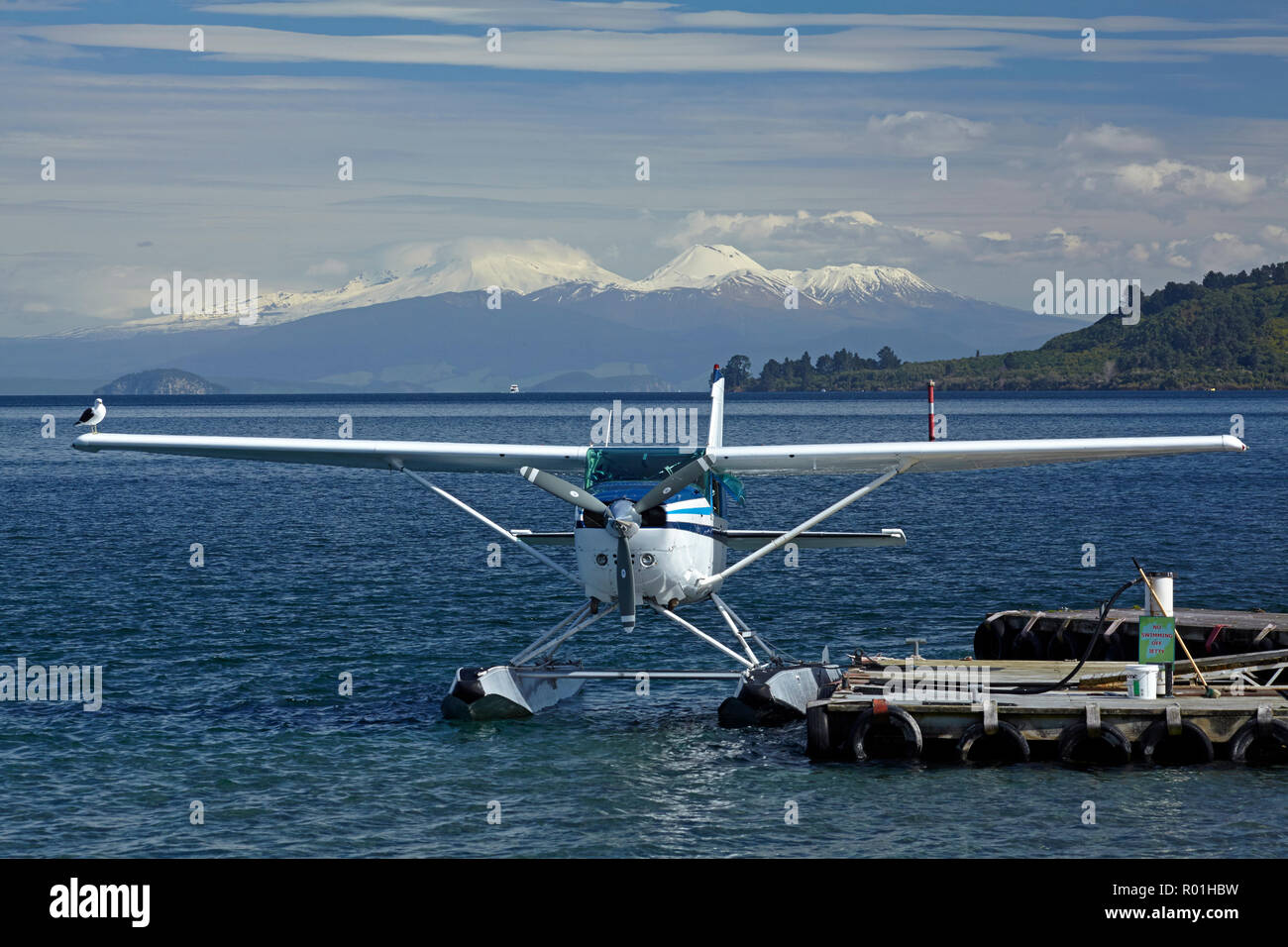 Float plane, Lake Taupo, and Ruapehu and Ngauruhoe volcanoes (in ...