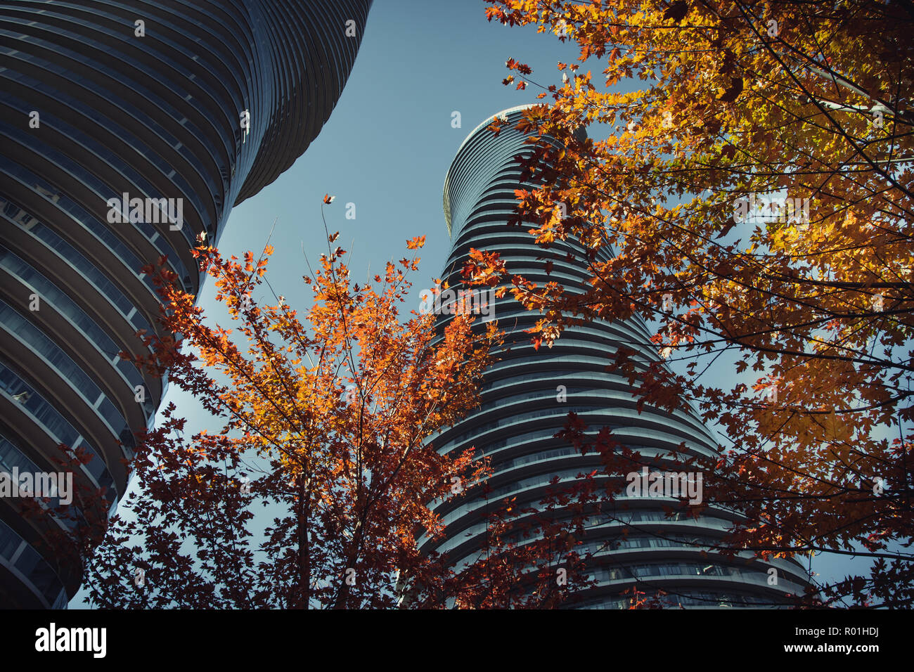 Close-up of tall skyscrapers in Mississauga, Canada Stock Photo - Alamy
