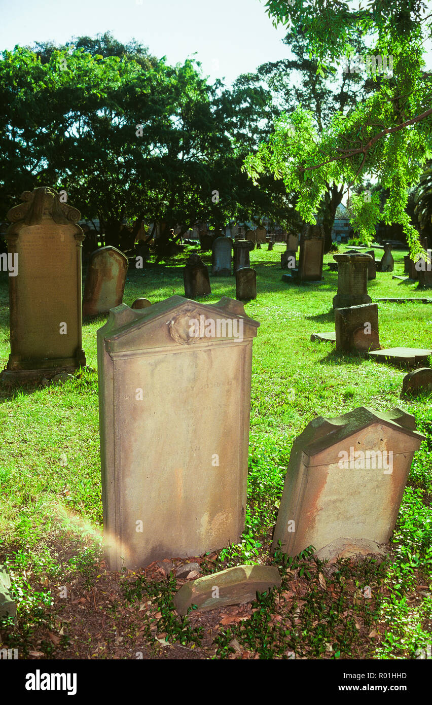Camperdown cemetery hi-res stock photography and images - Alamy