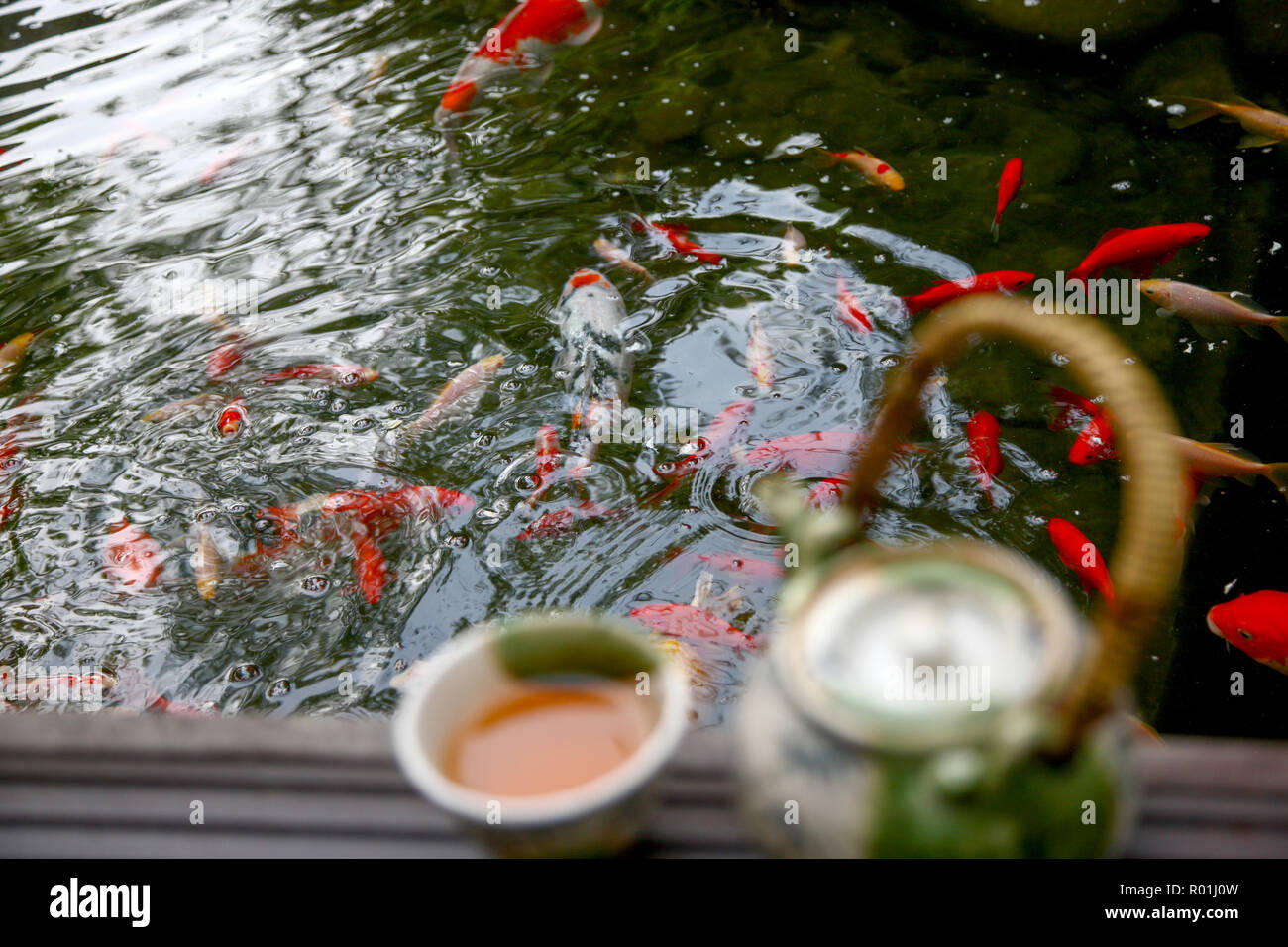 Tea set the goldfish Stock Photo - Alamy