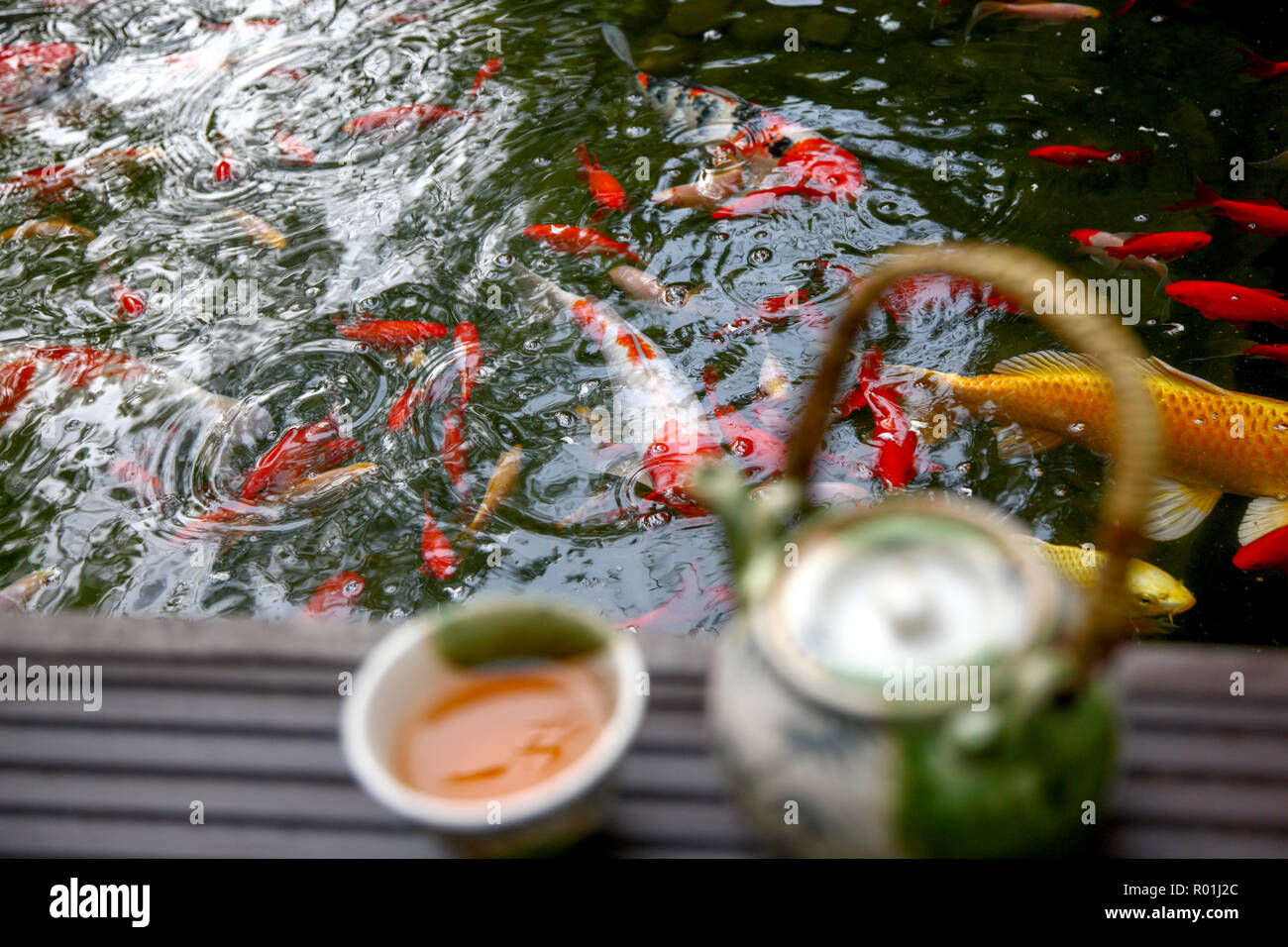 Tea set the goldfish Stock Photo - Alamy