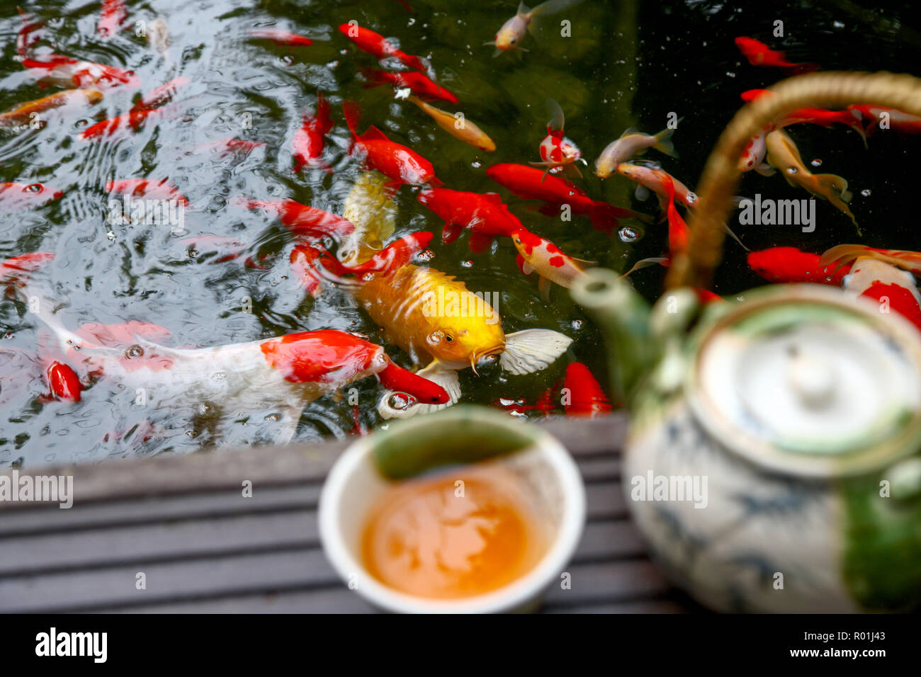 Tea set the goldfish Stock Photo - Alamy