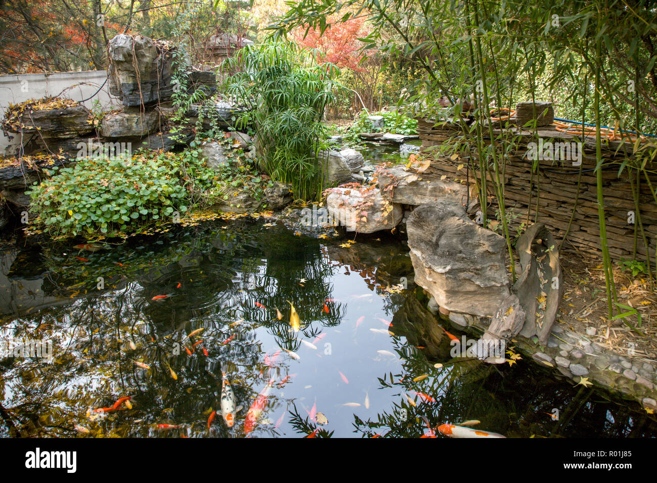 Garnish pond hi-res stock photography and images - Alamy