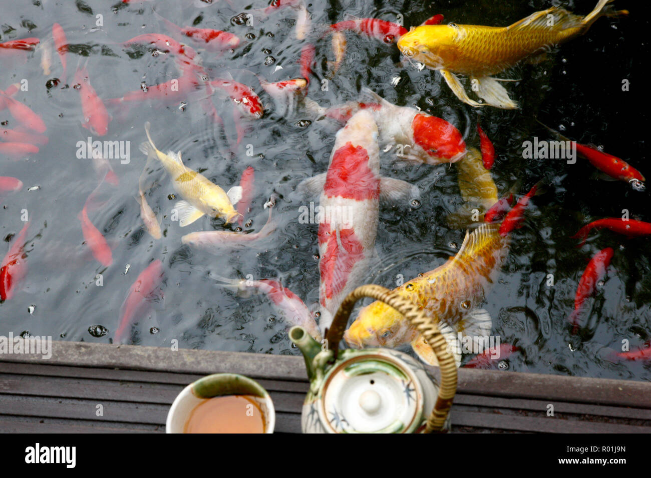 Tea set the goldfish Stock Photo - Alamy