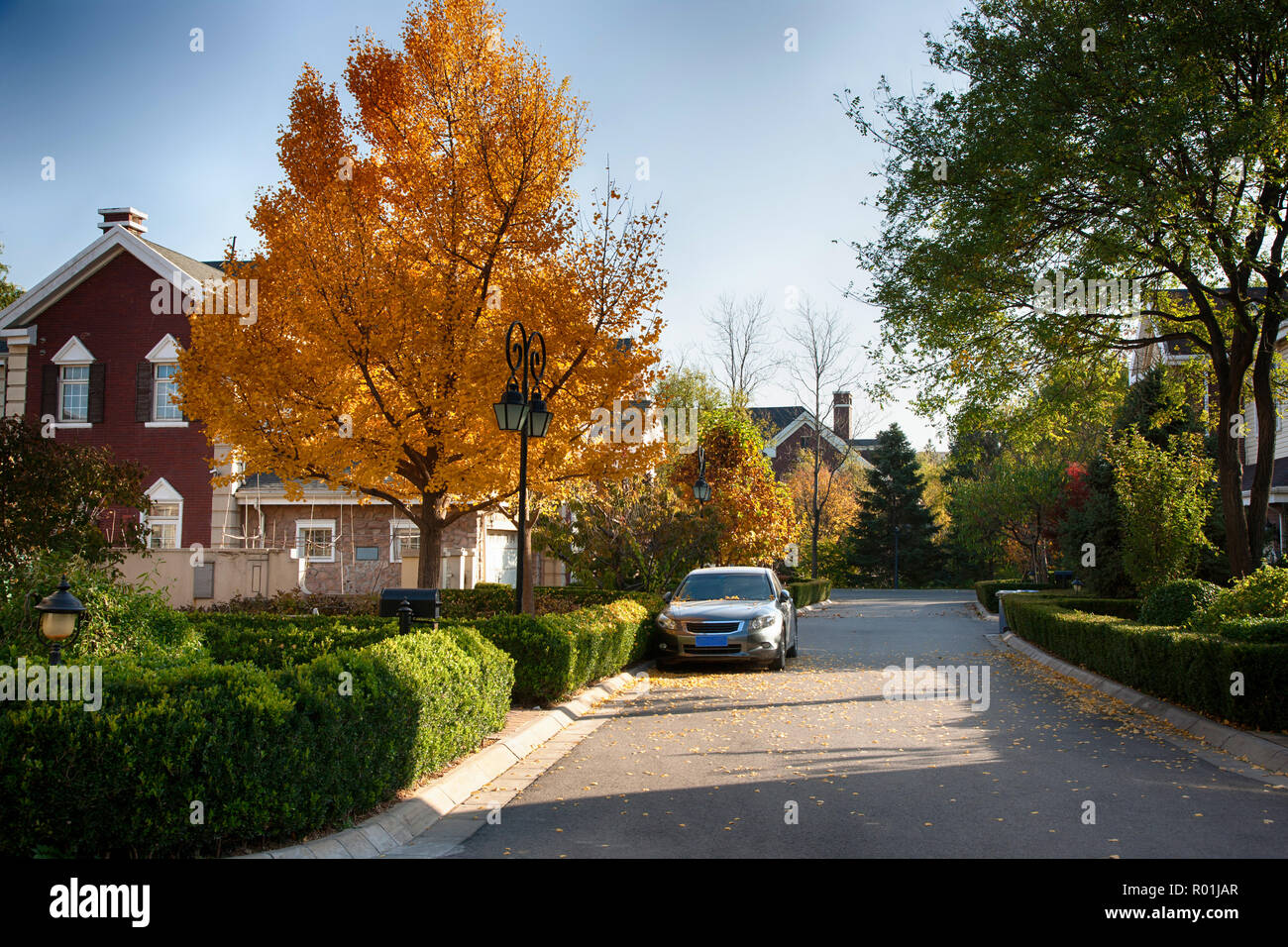 Roads elegance hi-res stock photography and images - Alamy