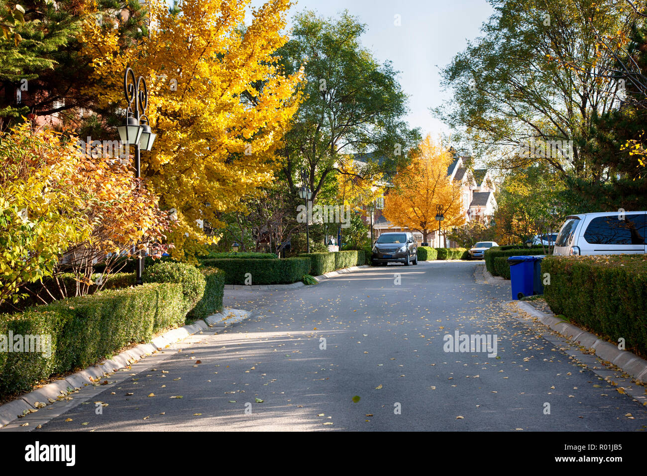 Roads elegance hi-res stock photography and images - Alamy