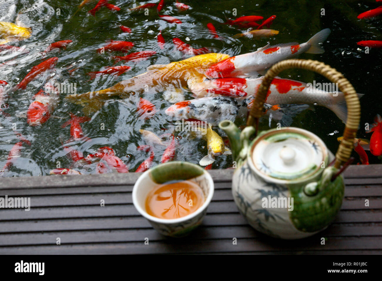 Foreground fish pond fish goldfish koi hi-res stock photography and ...