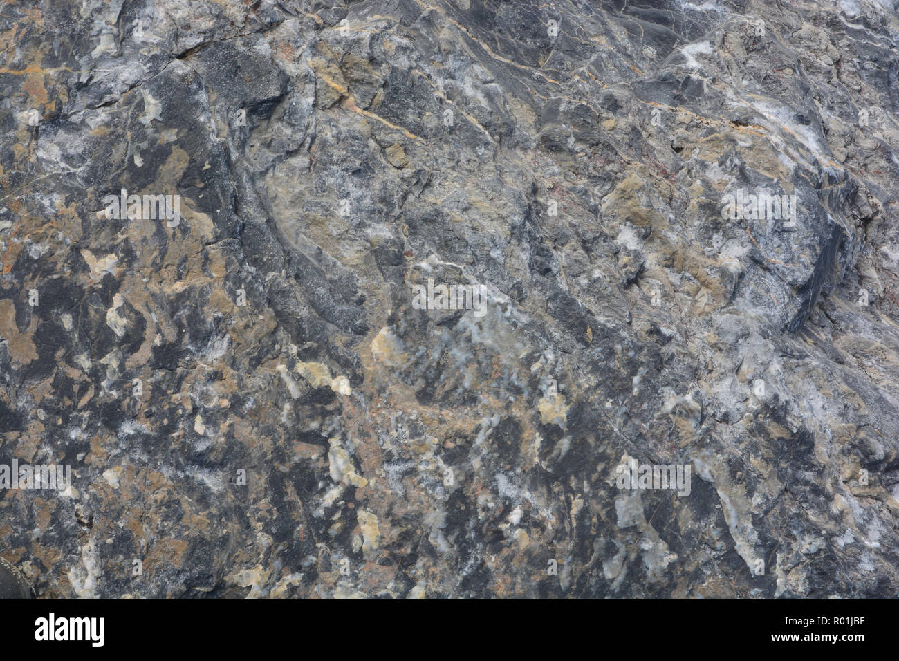 Details of stone texture Stock Photo - Alamy