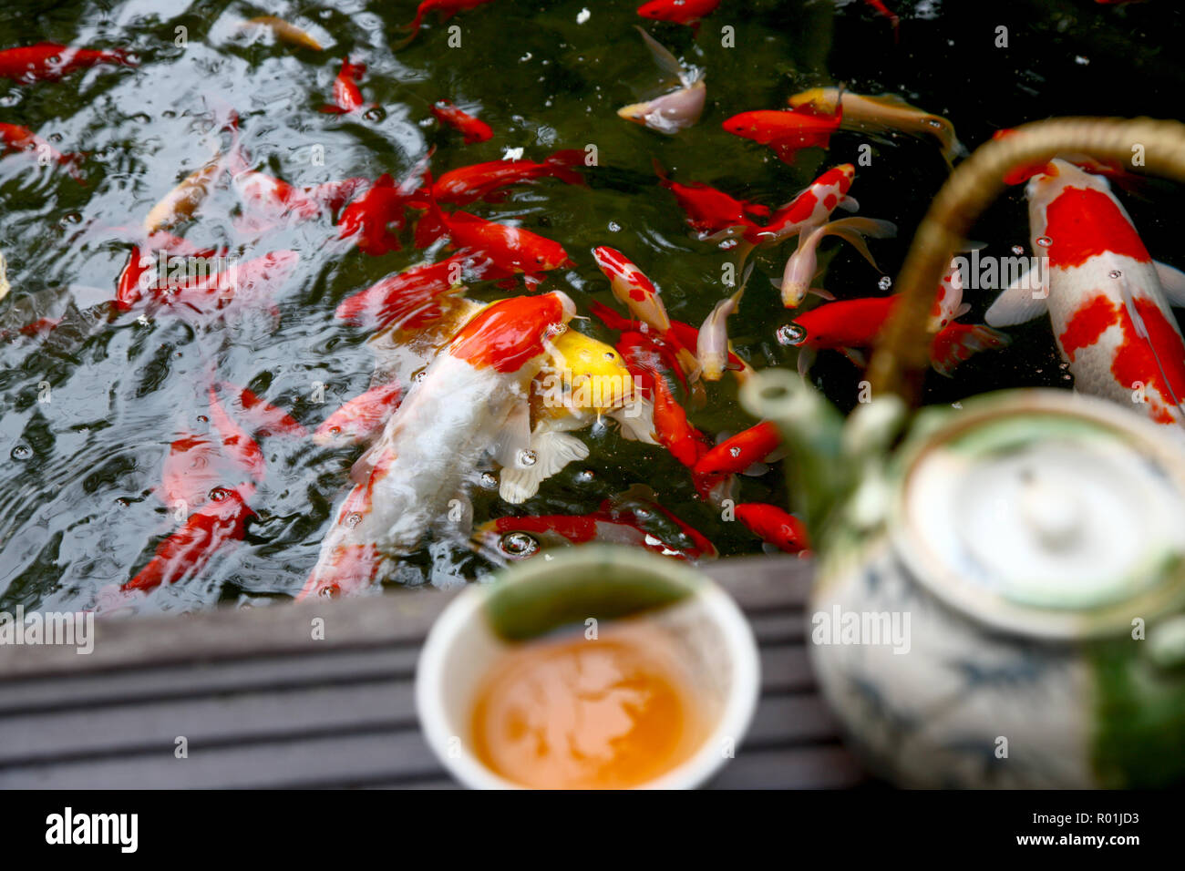 Tea set the goldfish Stock Photo - Alamy