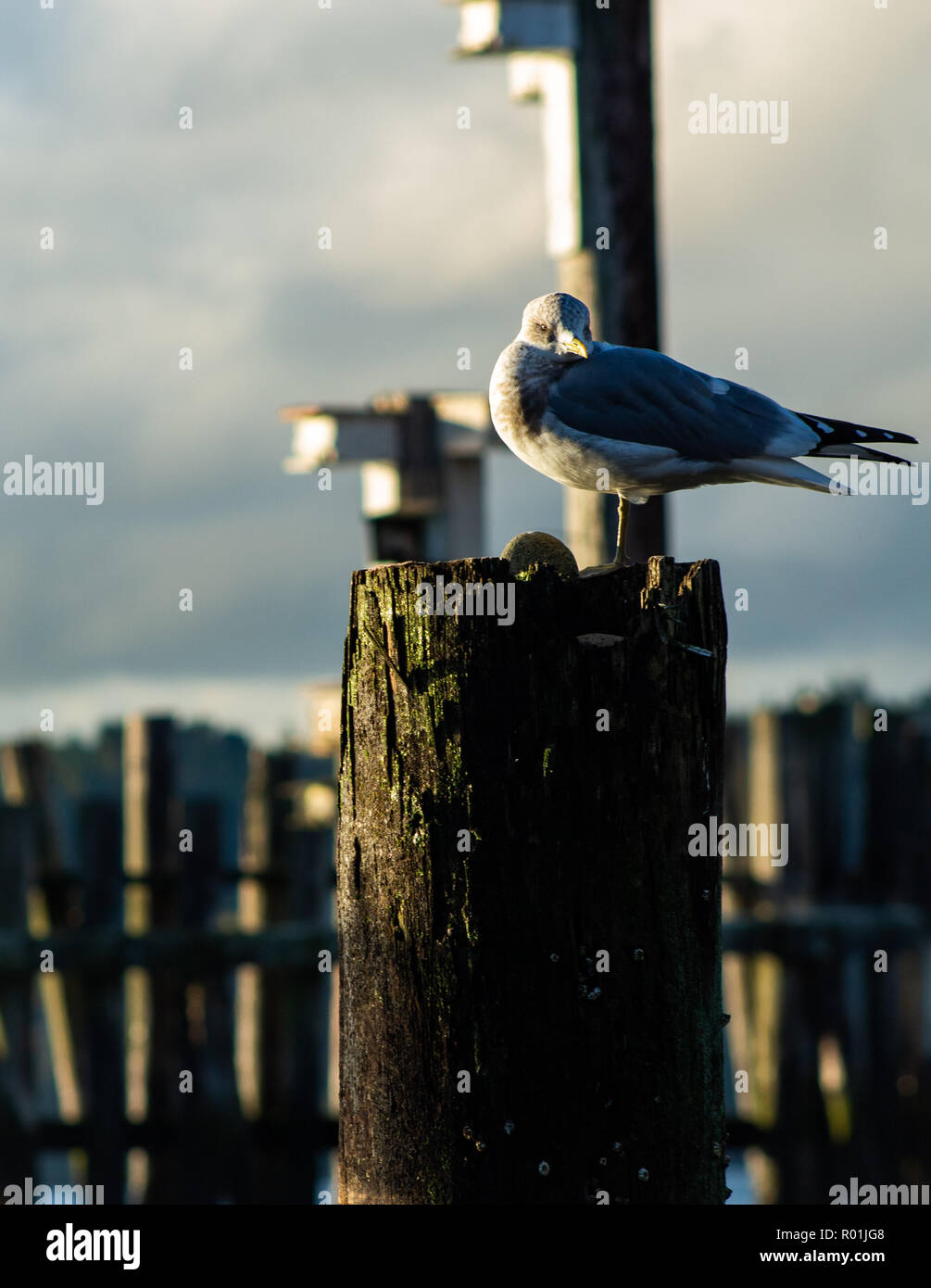 North west lookout hi-res stock photography and images - Alamy