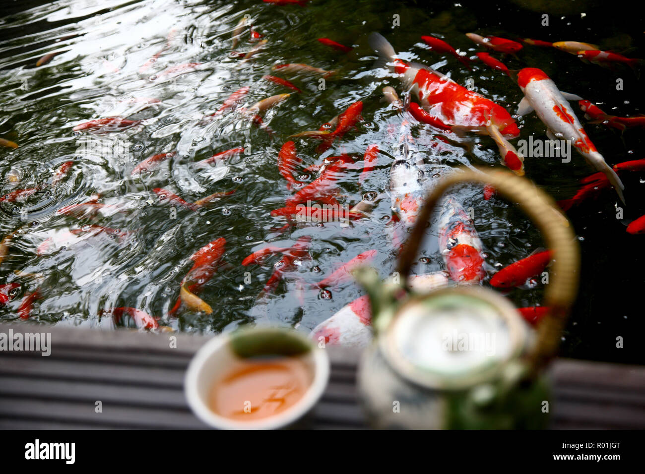 Tea set the goldfish Stock Photo - Alamy