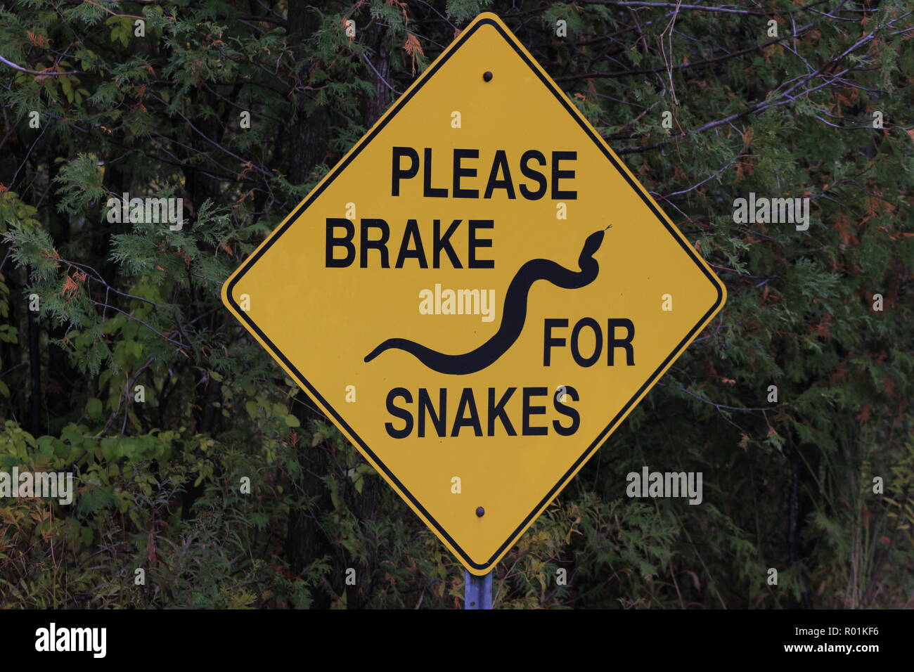 A sign that encourages drivers to brake for snakes Stock Photo - Alamy