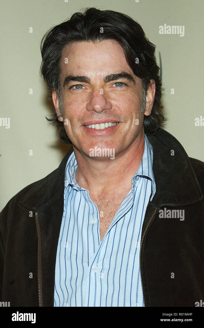 Peter Gallagher Movies