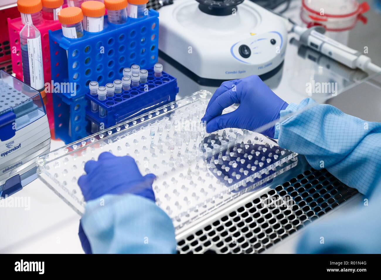 Dna Fingerprinting High Resolution Stock Photography and Images - Alamy