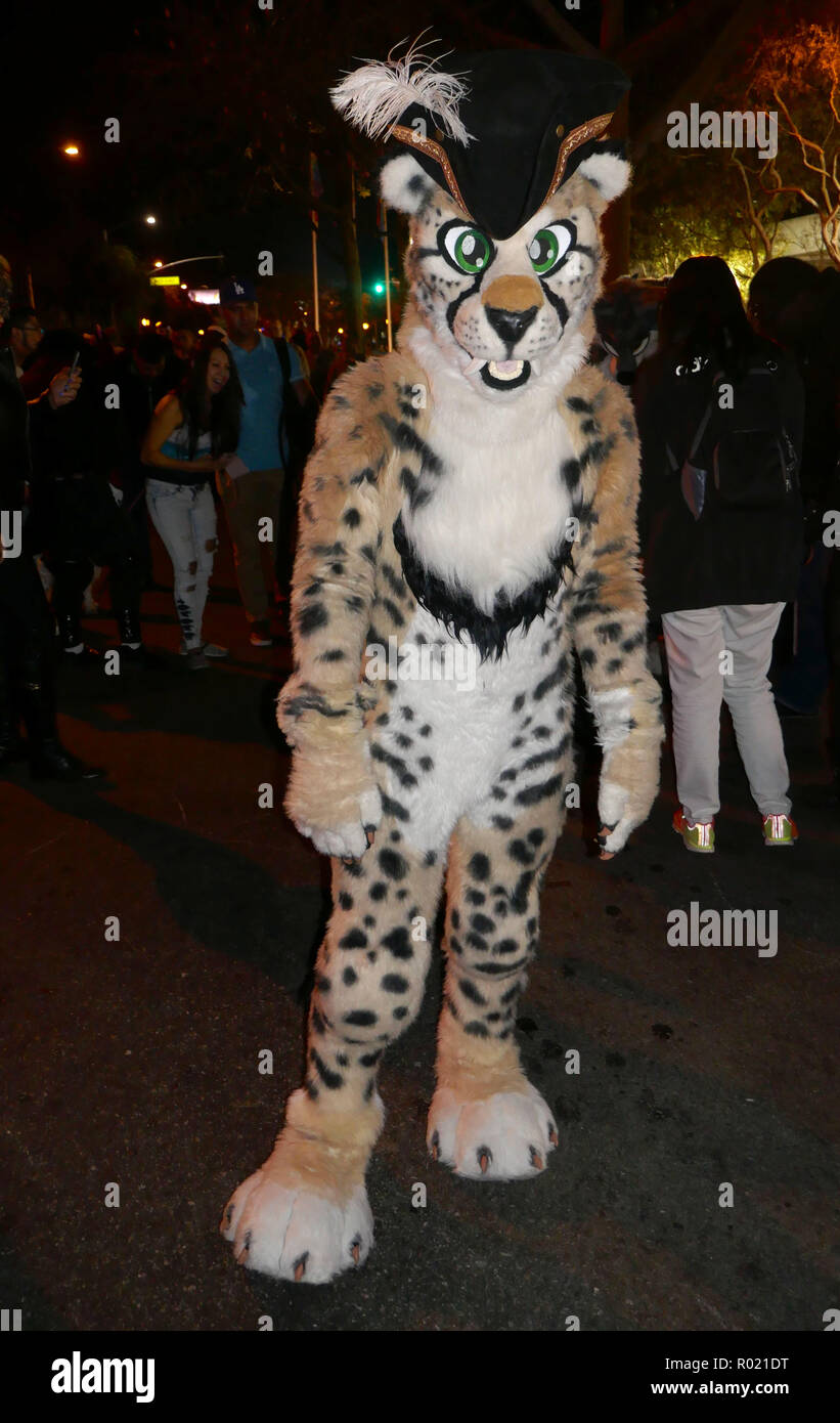 Cheetah costume hi-res stock photography and images - Alamy