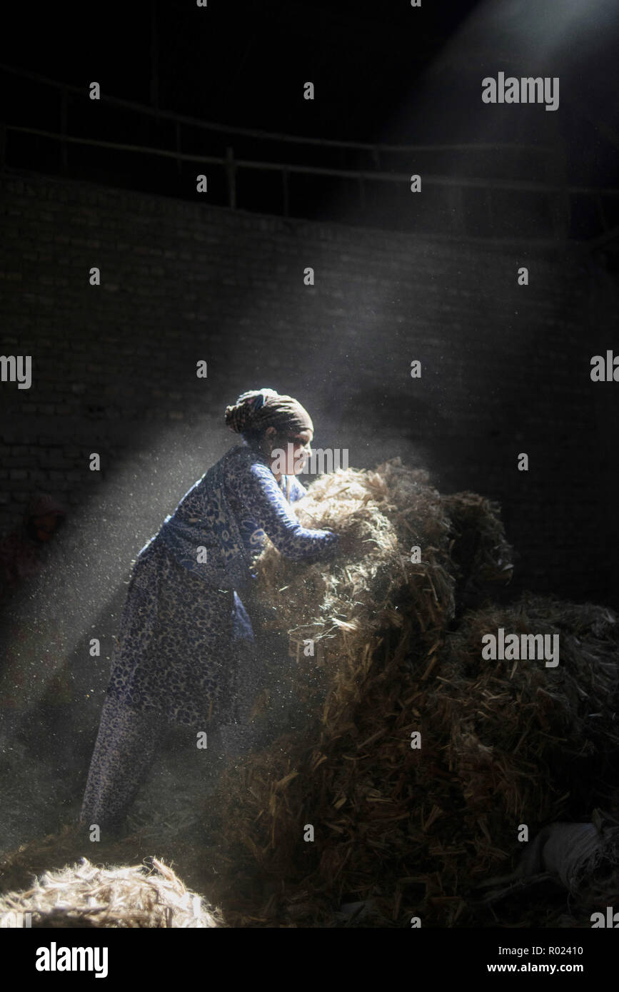 Narayanganj, Bangladesh. 1st Nov, 2018. Sun rays enter through the ...