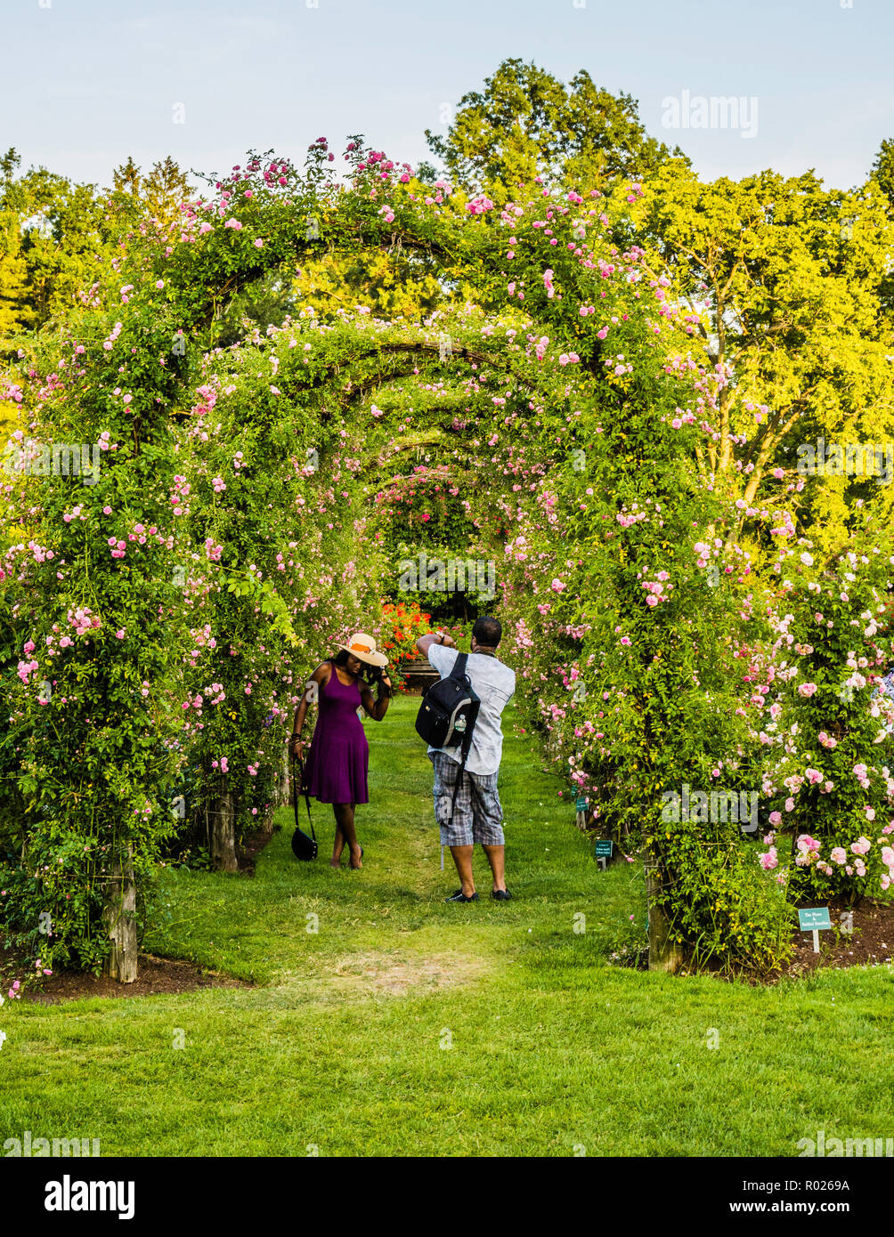 Elizabeth Park Hartford, Connecticut, USA Stock Photo - Alamy