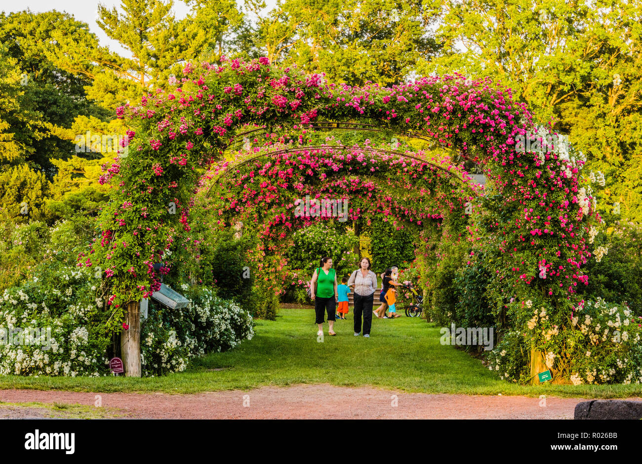 Elizabeth Park Hartford, Connecticut, USA Stock Photo - Alamy