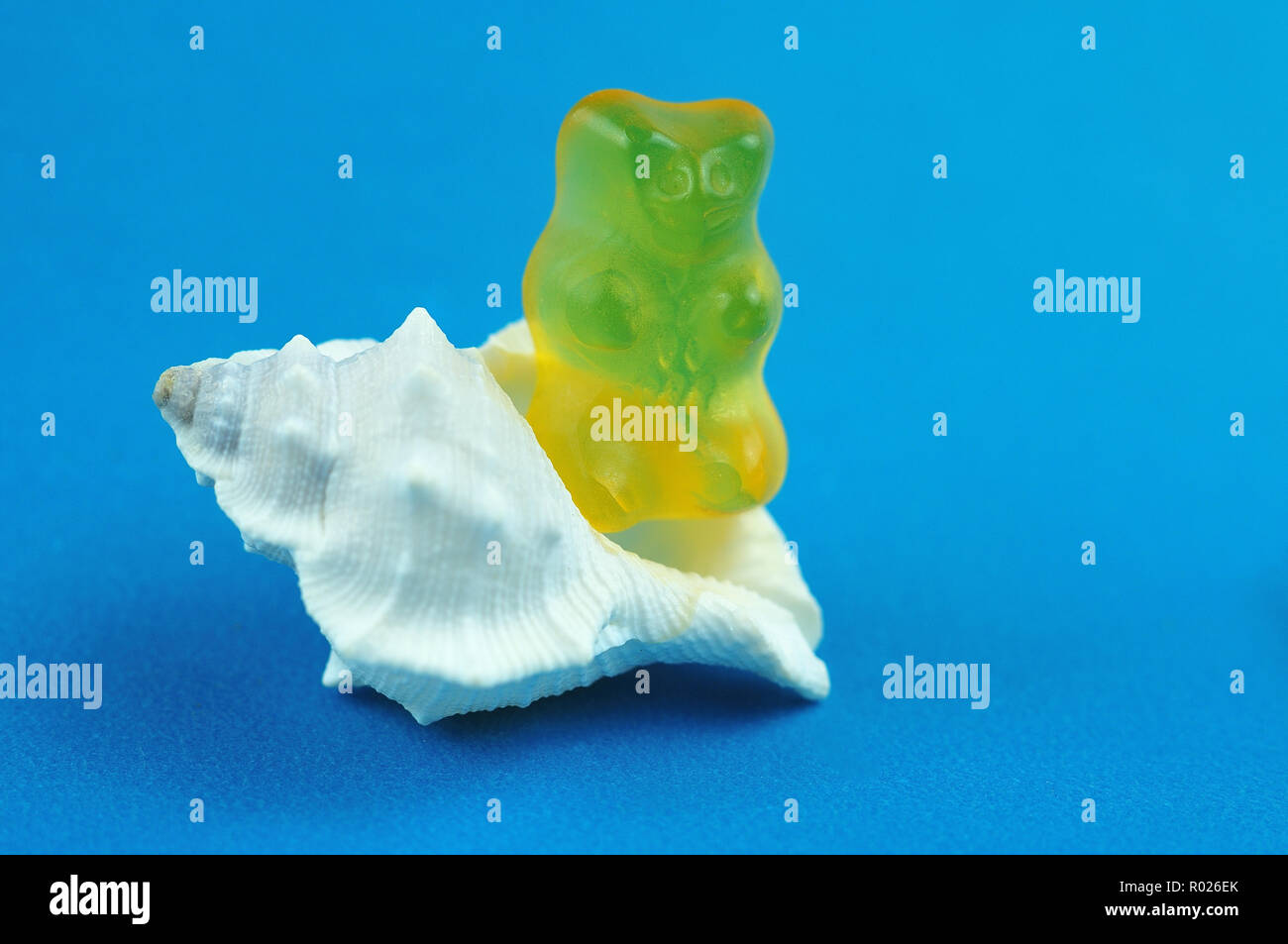 macrophotography of a yellow gummy bear sitting in a white turban snail ...