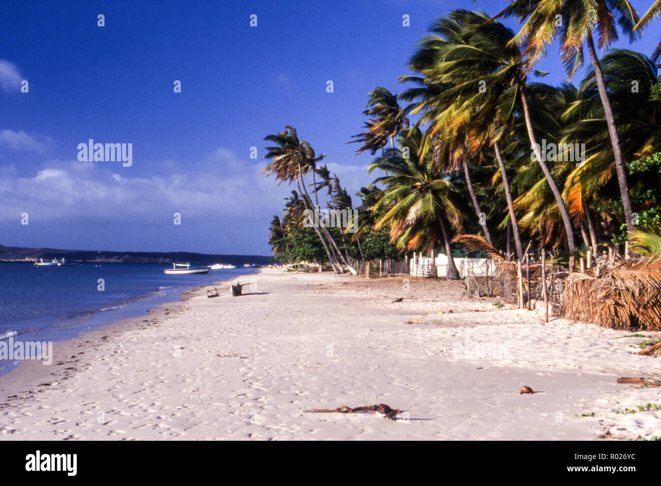 Ramena Beach, Antsiranana or Diego Suarez, Madagascar, Africa Stock ...
