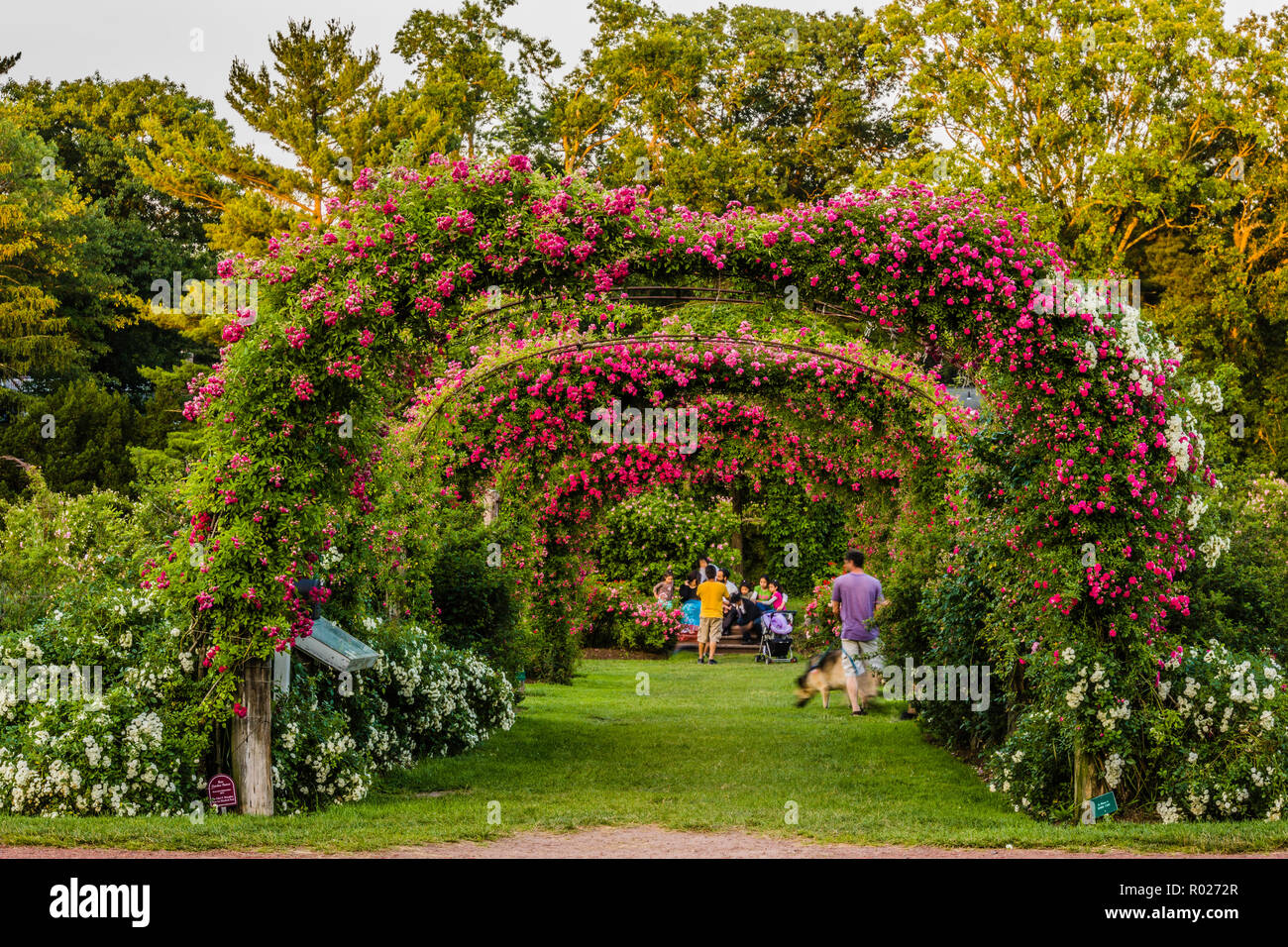 Elizabeth Park Hartford, Connecticut, USA Stock Photo - Alamy
