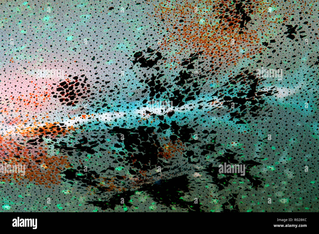 Chromatophores hi-res stock photography and images - Alamy