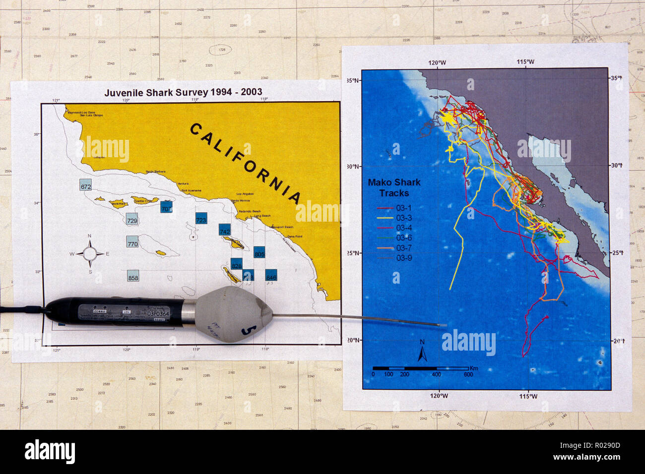 Shark tagging data hi-res stock photography and images - Alamy