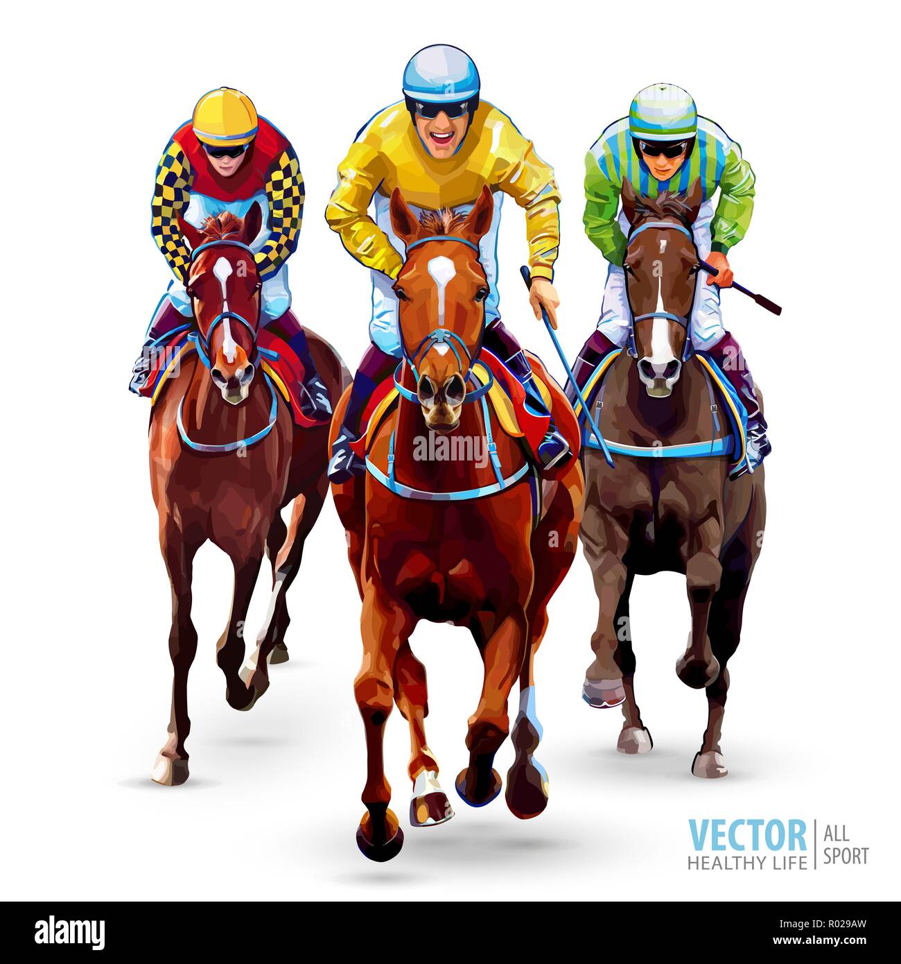 Horse front view hi-res stock photography and images - Alamy