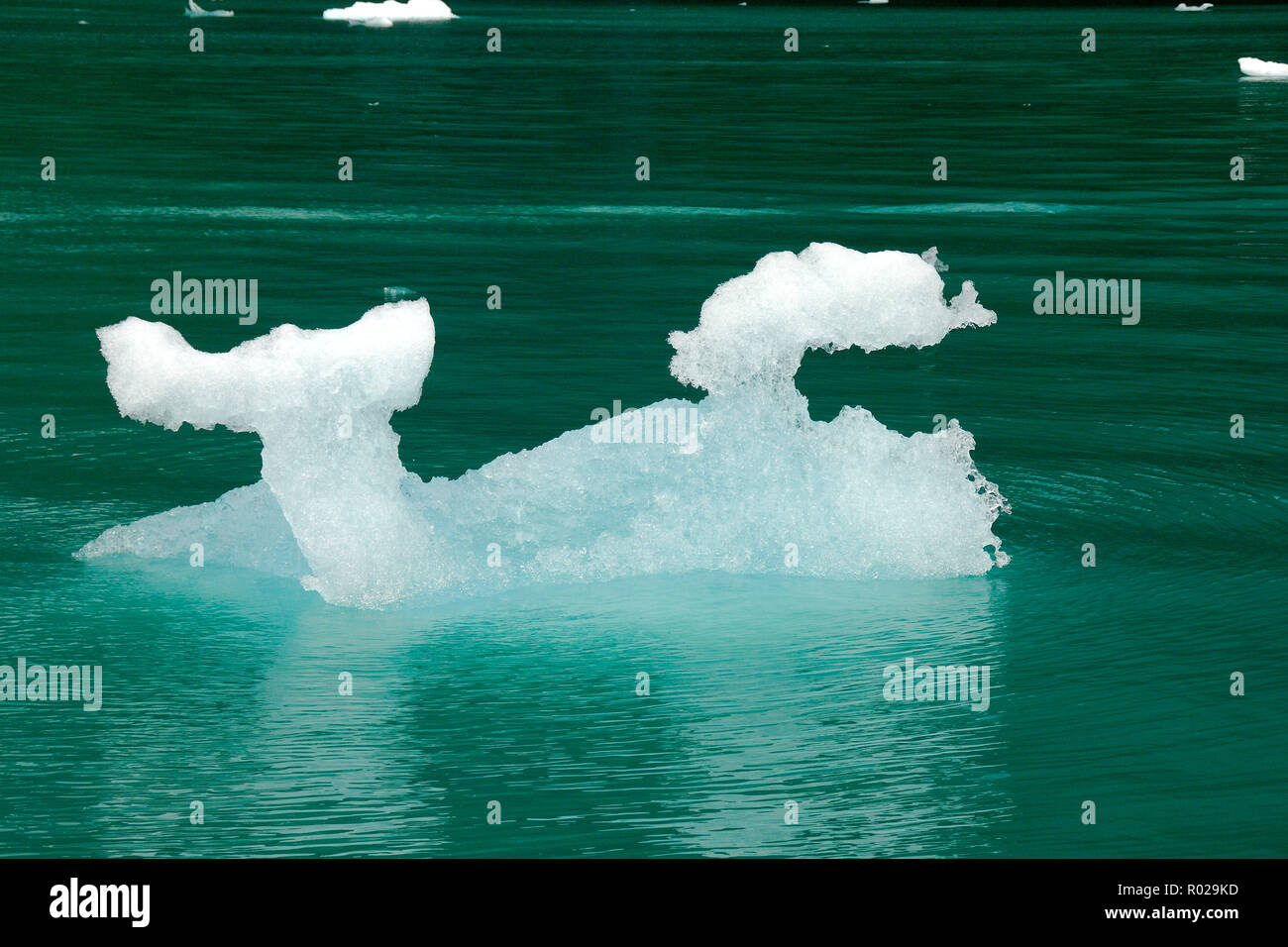 Whale iceberg, Inside Passage, Alaska, Pacific Ocean Stock Photo - Alamy
